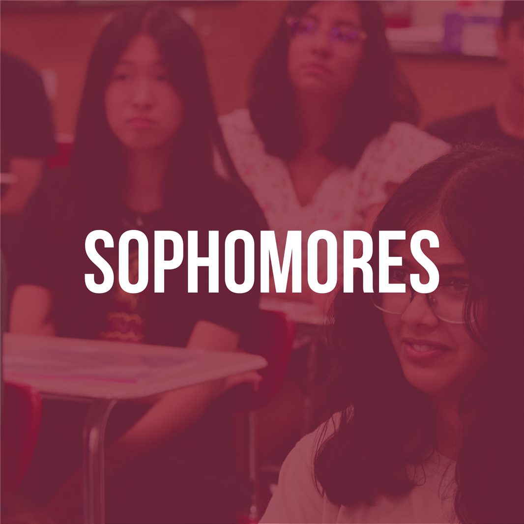 Year-by-Year Success Guide / Home